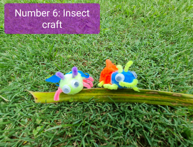 Craft 6 – AMH Learning Supplies